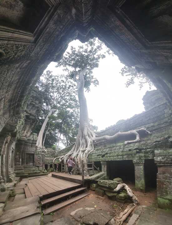 Discovering Ta Prohm: The Cambodian Temple of Trees – Someone Who Wanders